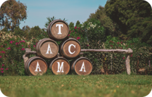 Institucional - Tienda Tacama