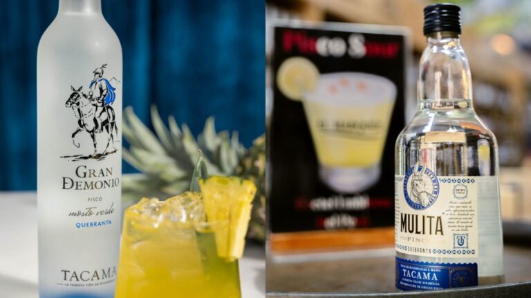 Pisco Quebranta: por qué es el más representativo del Perú y cómo ...